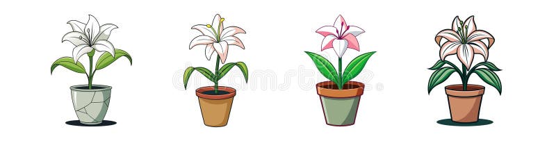 Cartoon White Lily in a Pot Illustration Stock Vector - Illustration of ...