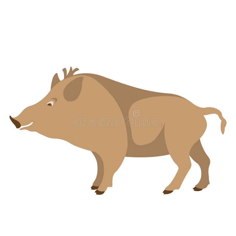 Wild Boar Cartoon Stock Illustrations – 3,570 Wild Boar Cartoon Stock ...