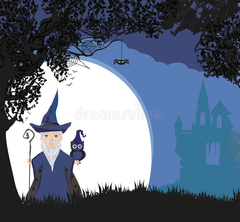 Cartoon Wizard with owl stock vector. Illustration of mustache - 157735632