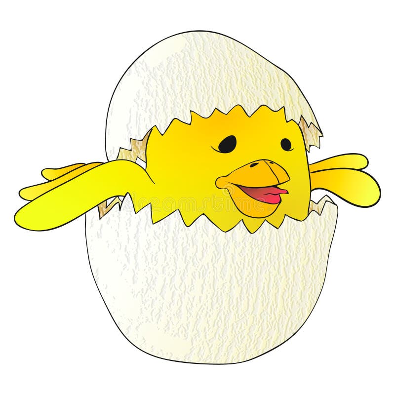 Cartoon Yellow Newborn Chicken in the Broken Egg Shell. Stock Vector ... Cartoon Yellow Newborn Chicken in the Broken Egg Shell. Stock Vector ...