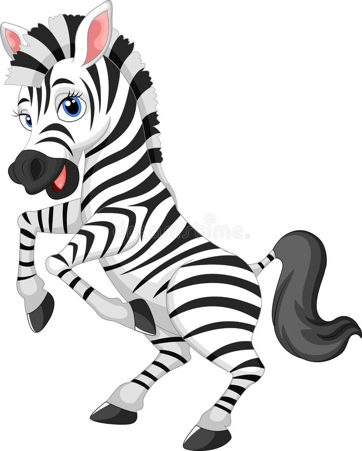 Cute zebra cartoon stock vector. Illustration of hoof - 30569107
