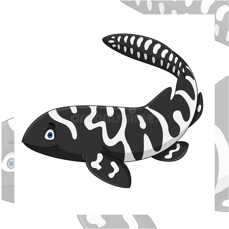 Cartoon Zebra Illustration, Smiling, Large Eyes Stock Vector ...