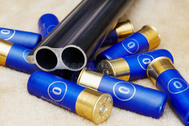 Cartridges and gun barrel stock photo. Image of game - 11884904