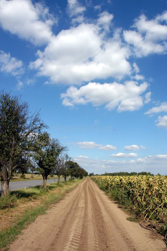 Cartway stock image. Image of cart, trees, colourful, tree - 1415061