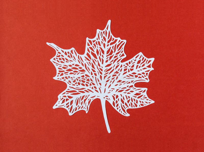 A Carve of White Paper Maple Leaves on a Red Background Stock Photo ...