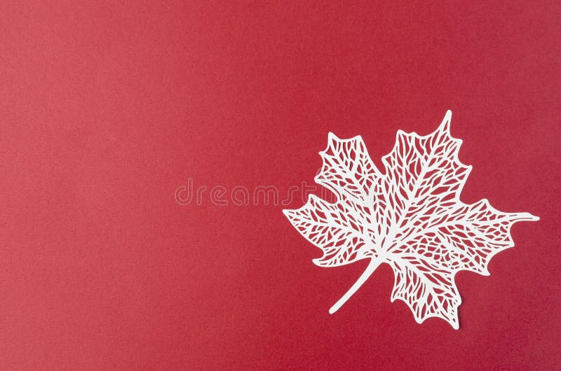 The Carve of White Paper Maple Leaves on a Red Background Stock Image ...