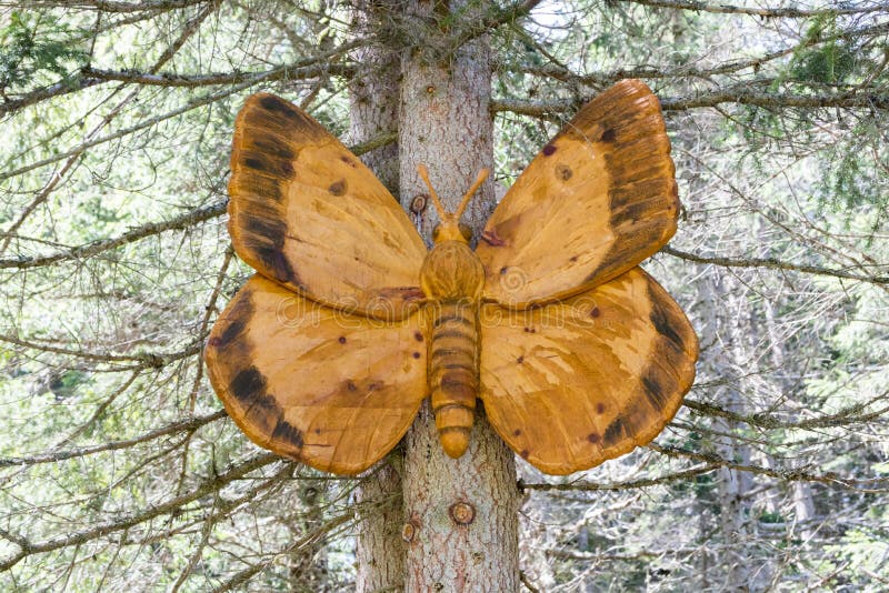 Carved butterfly on a tree stock image. Image of wooden - 101701141