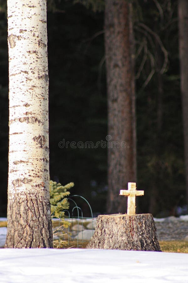 Carved Cross stock image. Image of darker, white, stump - 66473727