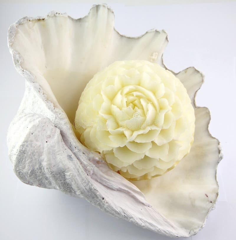 Carved Honeydew Melon stock photo. Image of ocean, natural - 36307514