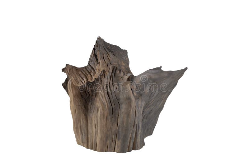 Carved Sculpture of Bog Oak on a White Background. Stock Photo - Image ...