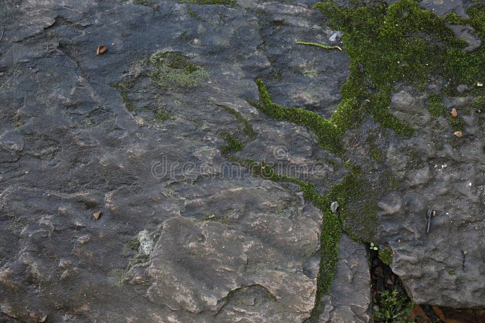 Carved Stone Texture stock image. Image of everest, beautiful - 89791299
