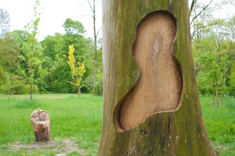 Carved tree stock image. Image of carving, park, shape - 14475583