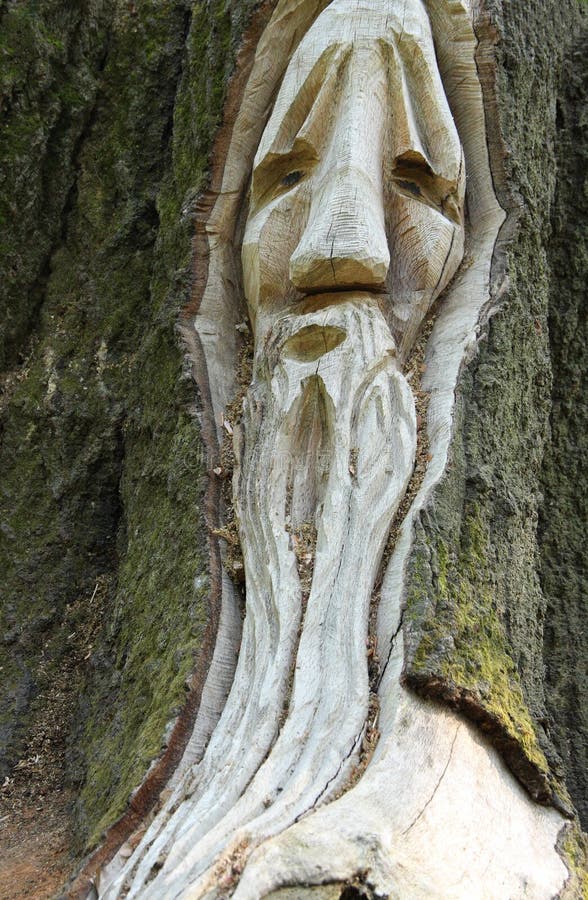 Carved wood face stock photo. Image of wood, sculpture - 5735978