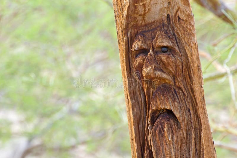 Carved Wooden Log Man Face stock photo. Image of face - 26518610