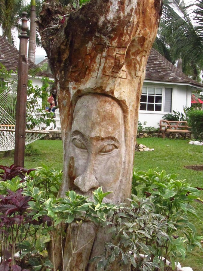 Mr tree man stock photo. Image of tree, carving, sunny - 105270478