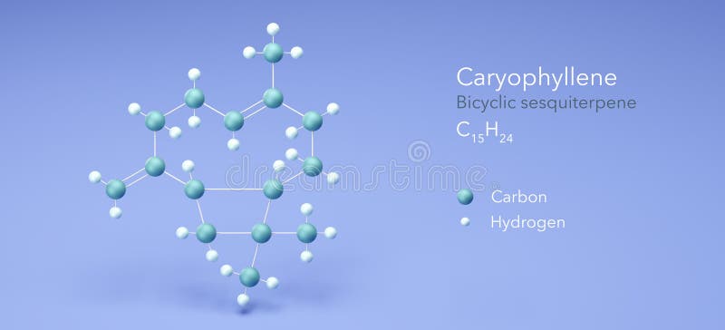 Caryophyllene Molecule, Molecular Structures, Beta-caryophyllene, 3d ...