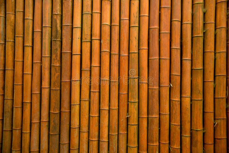 Casa De Bambú Del Pared/de Bambú Foto de archivo - Imagen de selva ...