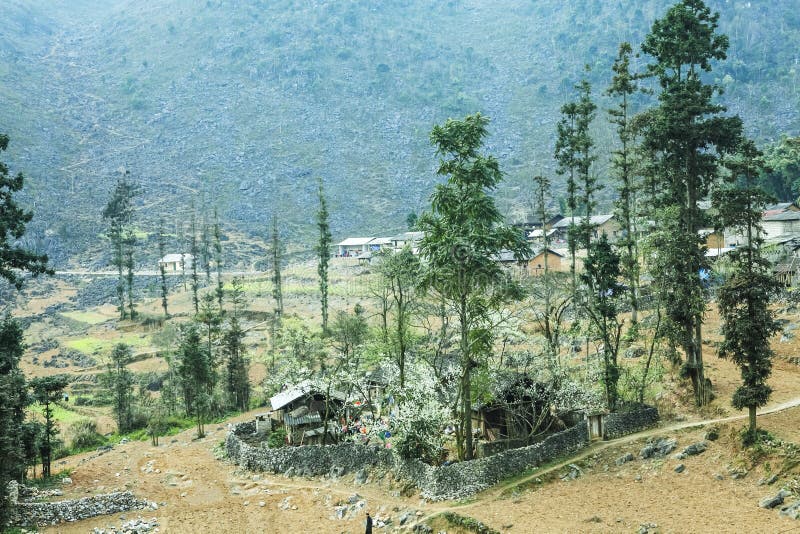 Casa Delle Minoranze Etniche Immagine Stock - Immagine di fangoso ...