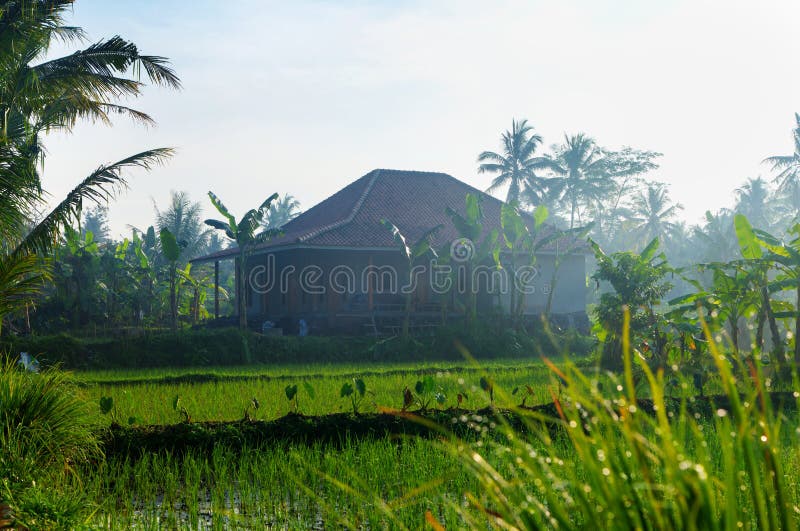 Casa do Javanese imagem de stock. Imagem de casa, java - 90804945