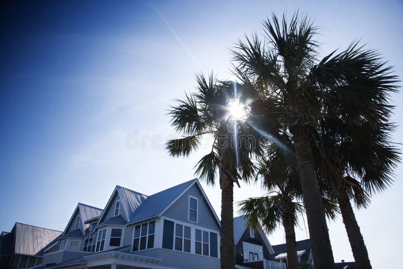 Casa No Console Da Cabeça Calva. Foto de Stock - Imagem de carolina ...
