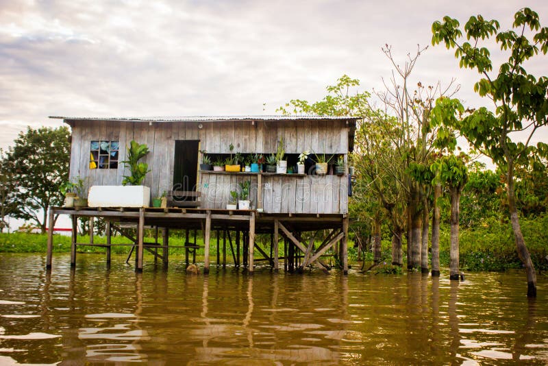 Casa no Rio Amazonas imagem de stock. Imagem de madeira - 46260233
