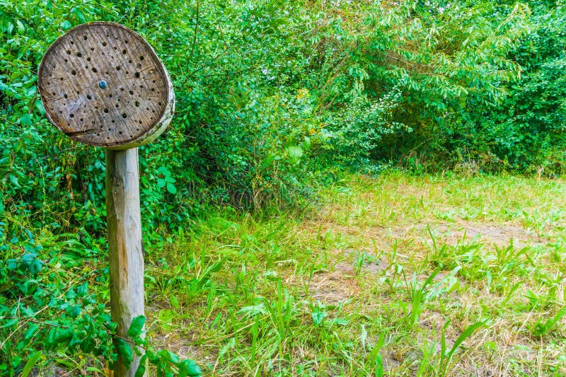Casa Para Insetos Em Um Prado Do Campo De Grama Foto de Stock - Imagem ...