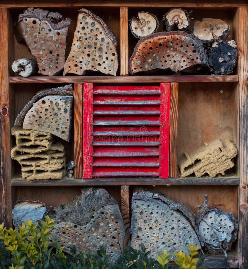 Casa Para Los Insectos - Hotel Del Insecto Foto de archivo - Imagen de ...