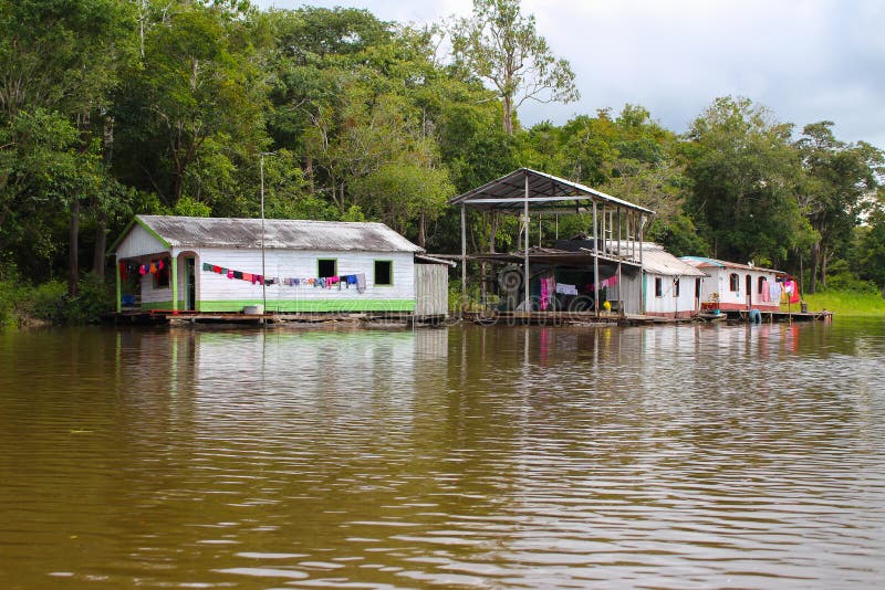 Casas Do Rio Amazonas Em Pernas De Pau Em Amazonas, Brasil Imagem de ...