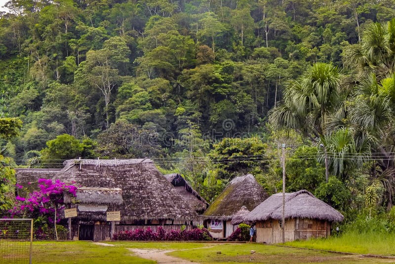 Casas Indígenas En Amazonia Ecuador Foto editorial - Imagen de frondoso ...