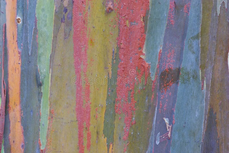 Cabine do banho turco imagem de stock. Imagem de moderno - 21269069