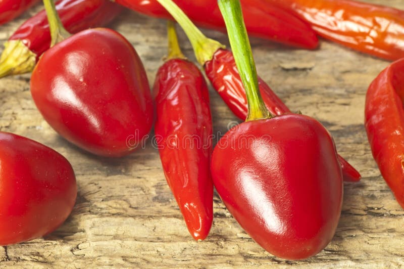 Cascabel and Cayenne chili stock image. Image of gourmet - 28364723