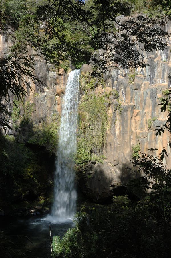 Cascada foto de archivo. Imagen de agua, plantas, outdoors - 46742122