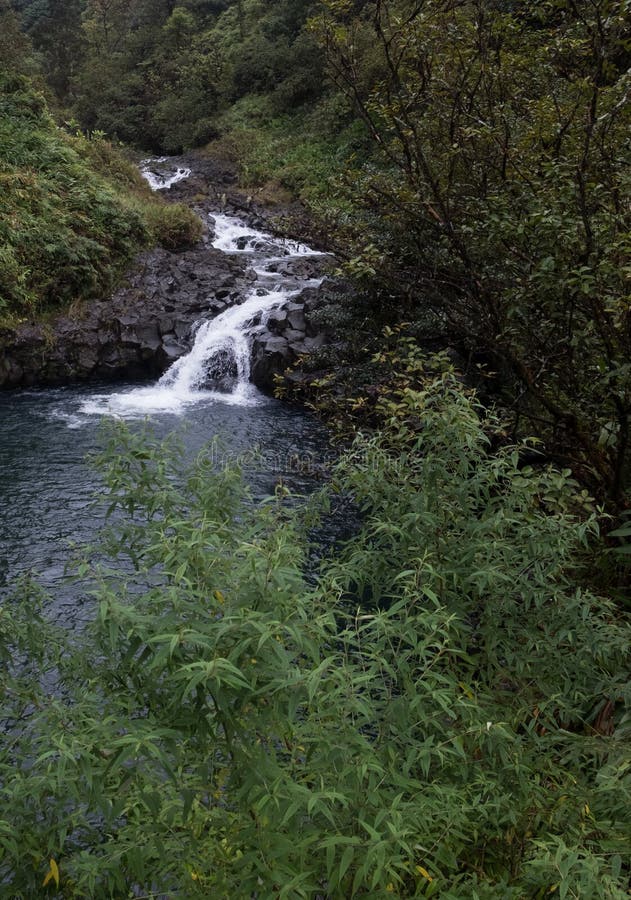 Cascada apacible imagen de archivo. Imagen de cascading - 106557417