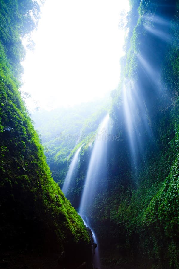 Cascada De Madakaripura, Java Oriental, Indonesia Imagen de archivo ...