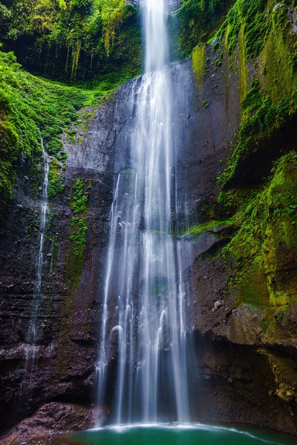 Cascada De Madakaripura, Java Oriental, Indonesia Imagen de archivo ...