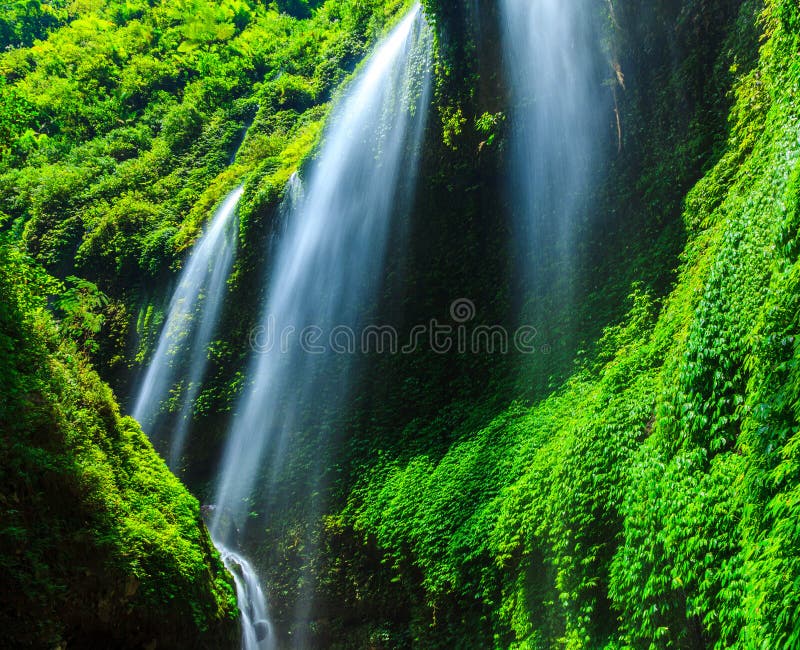 Cascada De Madakaripura, Java Oriental, Indonesia Imagen de archivo ...