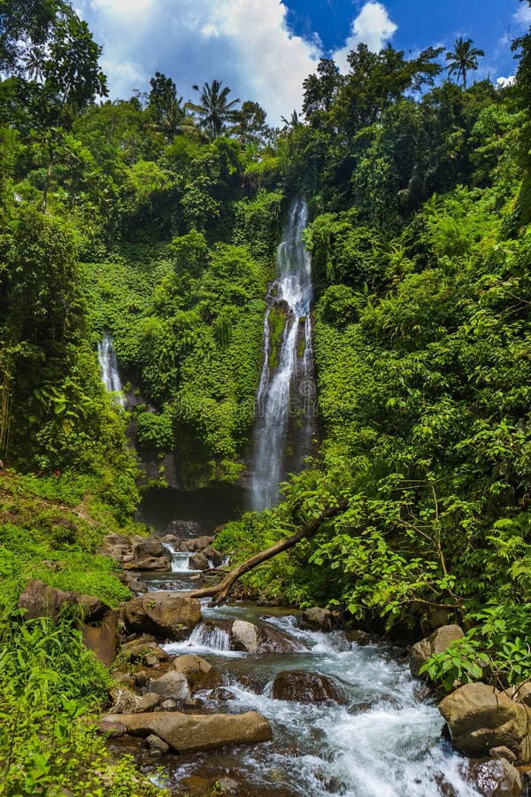 Cascada De Sekumpul - Isla Indonesia De Bali Foto de archivo - Imagen ...