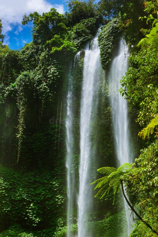 Cascada De Sekumpul - Isla Indonesia De Bali Foto de archivo - Imagen ...