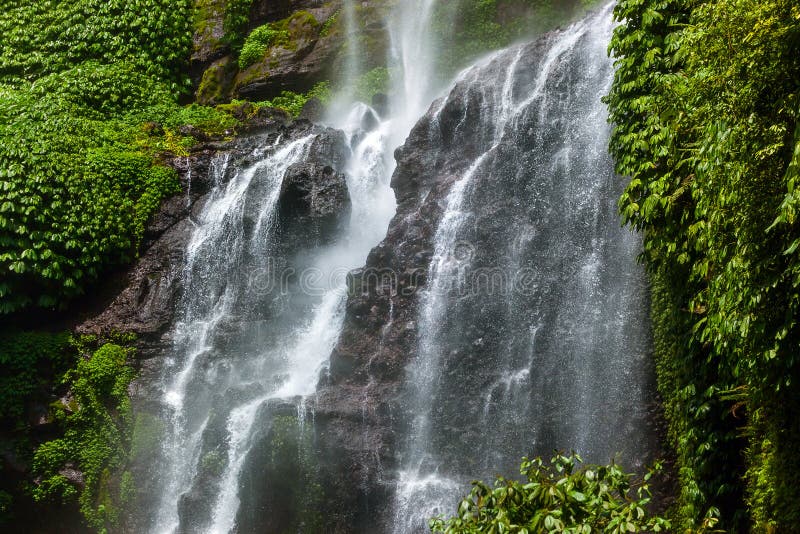 Cascada De Sekumpul - Isla Indonesia De Bali Imagen de archivo - Imagen ...