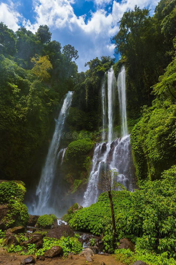 Cascada De Sekumpul - Isla Indonesia De Bali Imagen de archivo - Imagen ...
