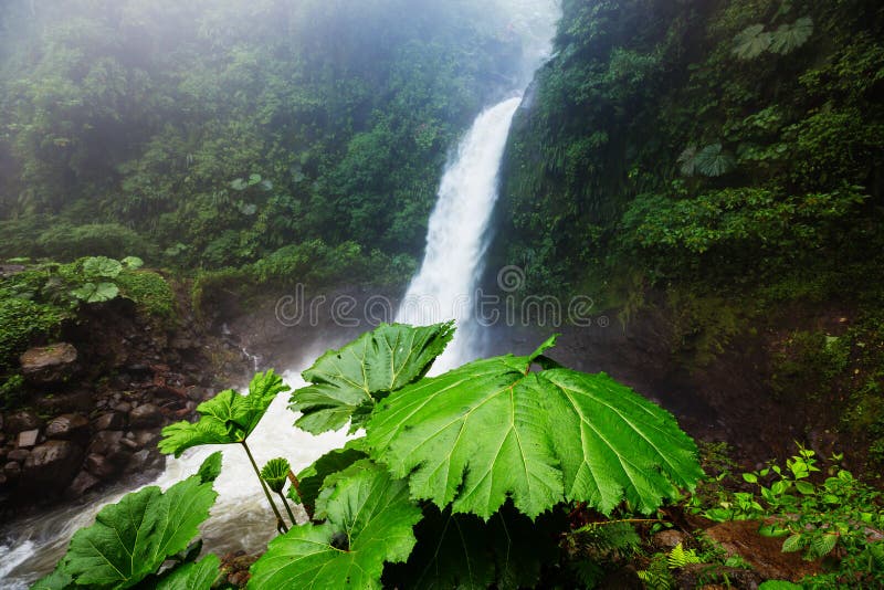 Cascada en Costa Rica foto de archivo. Imagen de exterior - 108359842