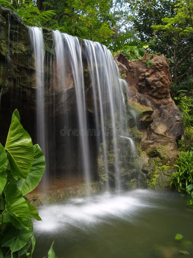 Cascada En El Jardín Botánico Imagen de archivo - Imagen de parque ...