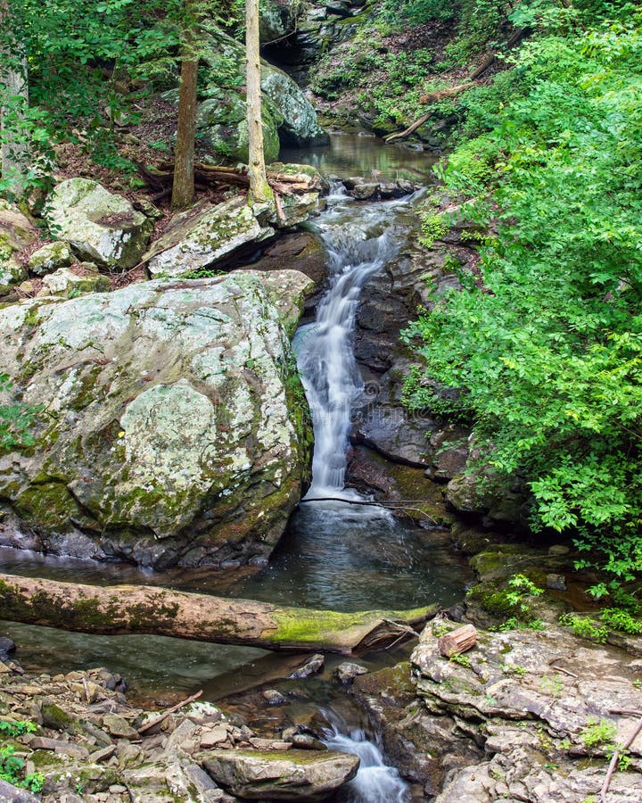 Cascada En El Parque De Estado Del Barranco De Cloudland Foto de ...