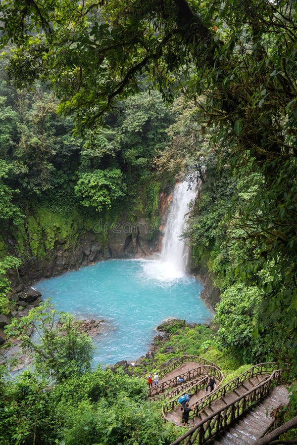Cascada en la selva foto de archivo. Imagen de hoja - 251809138