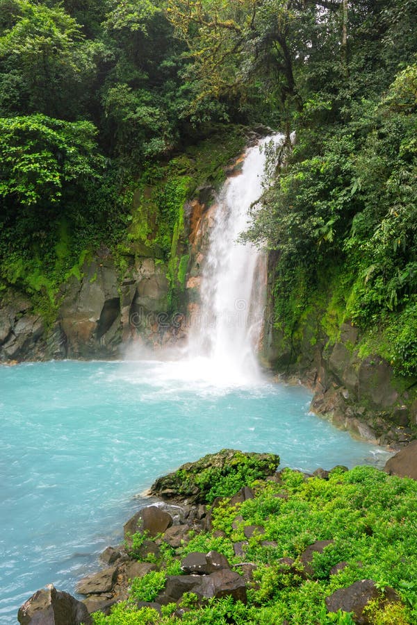 Cascada en la selva imagen de archivo. Imagen de ambiente - 251809159