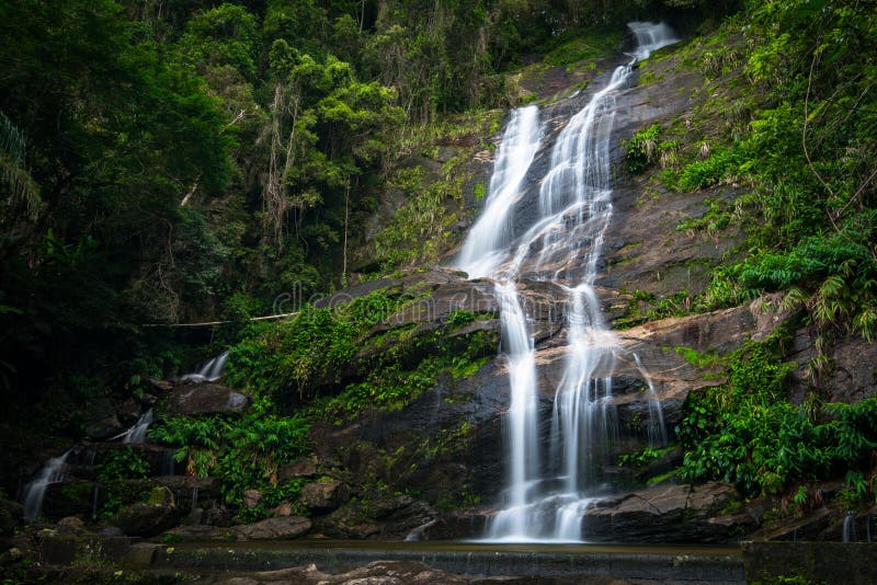 Cascada De Río De Janeiro En El Bosque De Tijuca Imagen de archivo ...