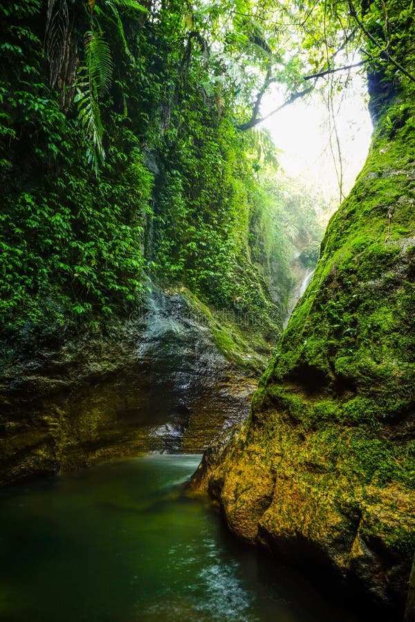 Cascada Oculta En La Selva Tropical Bogor, Java Occidental, Indonesia ...