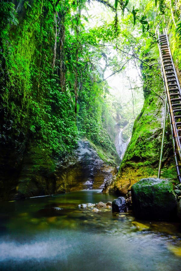 Cascada Oculta En La Selva Tropical Bogor, Java Occidental, Indonesia ...