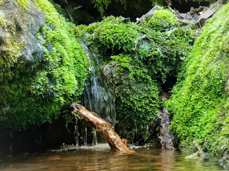 Cascada para las hadas imagen de archivo. Imagen de arroyo - 242915775