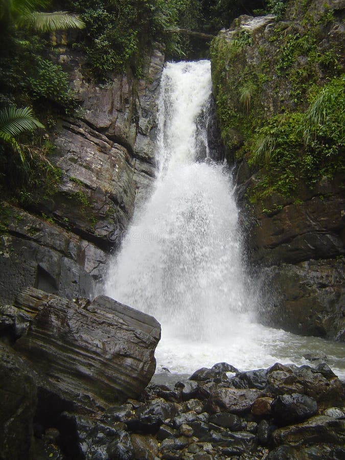 Cascada Puerto Rico imagen de archivo. Imagen de puerto - 9970155